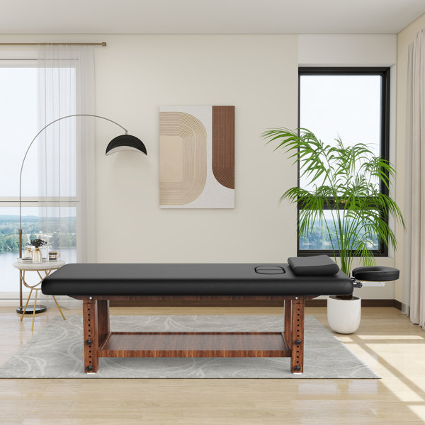 Inbox Zero Meshayla 75" Professional Massage Table Height Adjustable ...