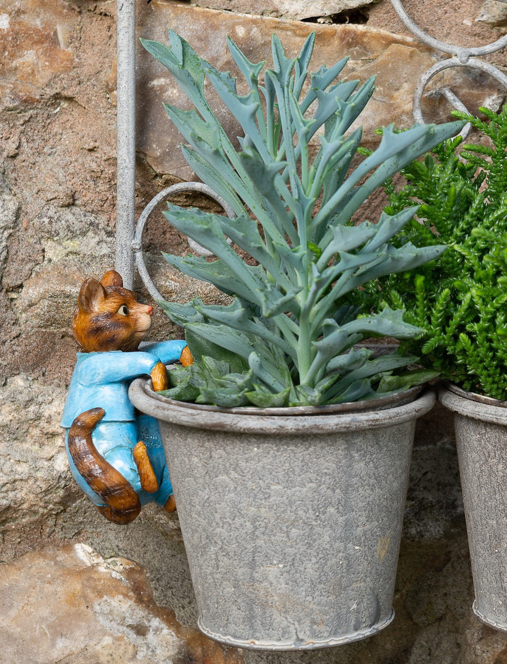 Jardinopia Beatrix Potter Tom Kitten Statue - Wayfair Canada