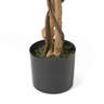 Latitude Run® ARTIFICIAL FICUS TREE | Wayfair