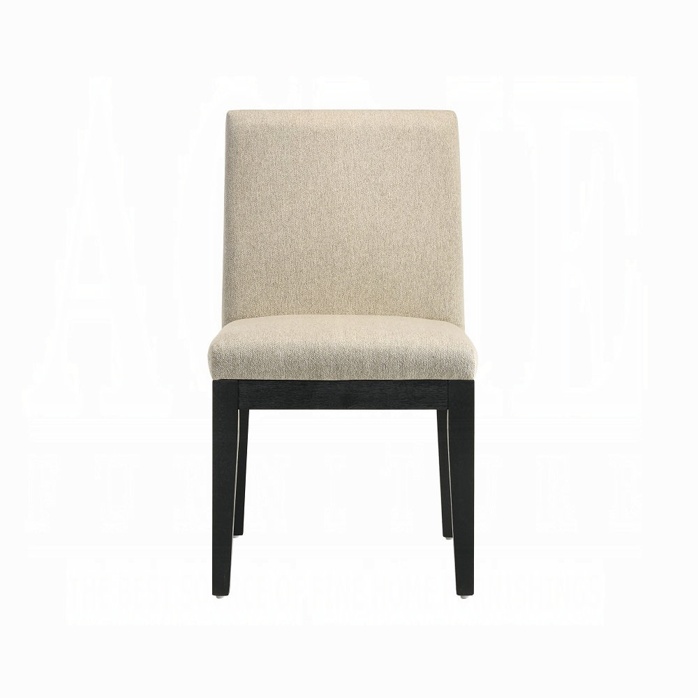 Hokku Designs Froja Side Chair (Set-2) | Wayfair