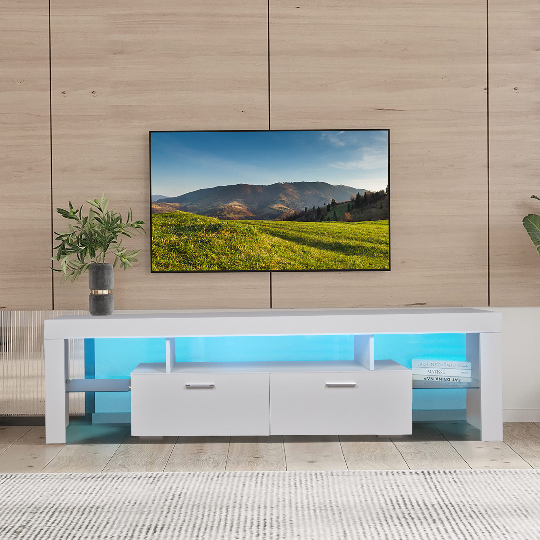 Wrought Studio™ Contemporary TV Cabinet With Drawer And Storage For ...