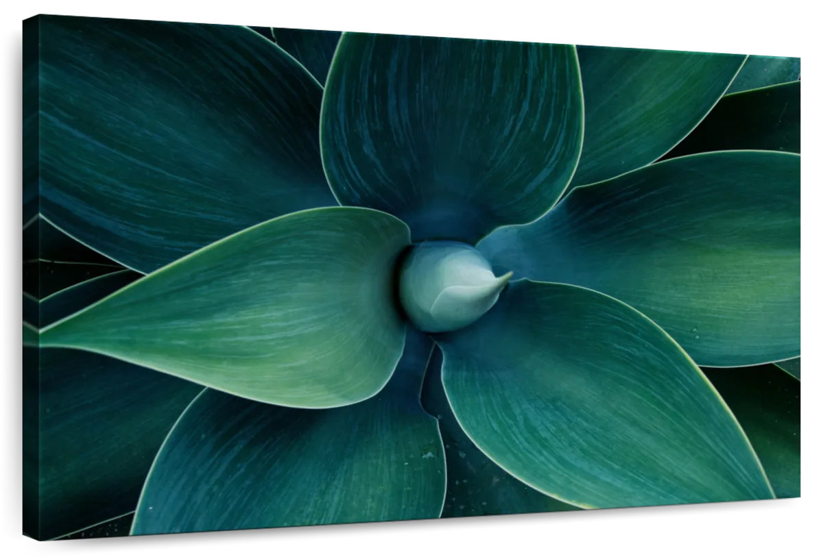 Lark Manor™ Harnek Green Zen Leaves | Wayfair