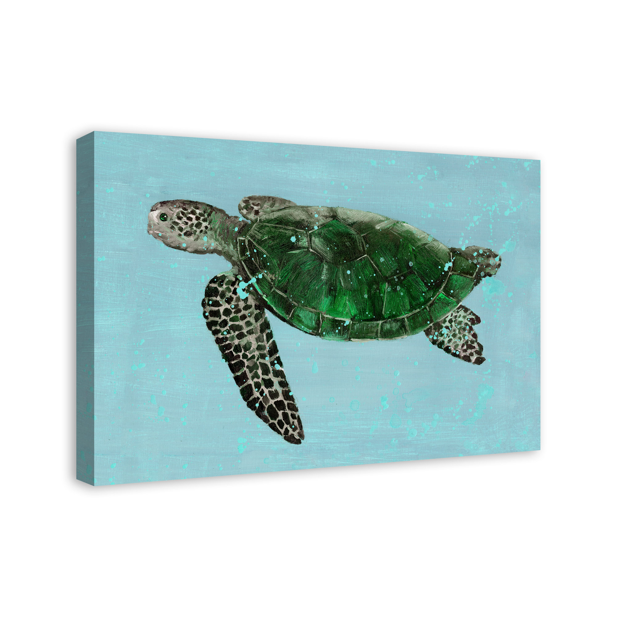 Bayou Breeze Sea Turtle Splatter Paint Print On Canvas - Wayfair Canada