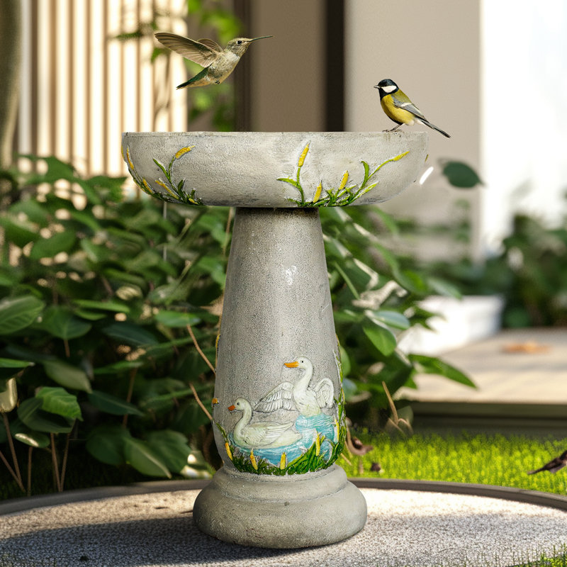 Rosalind Wheeler Chericka Concrete / Cement Pedestal Birdbath | Wayfair