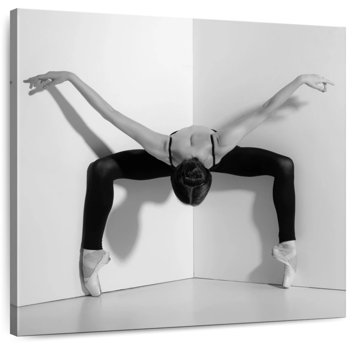 House of Hampton® Enn Studio Dance | Wayfair