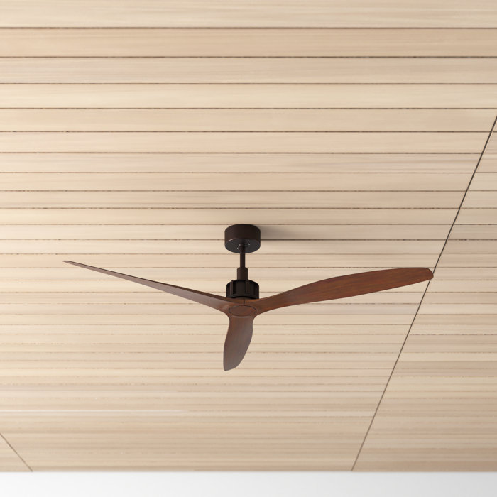 AllModern Zelda 52'' Ceiling Fan & Reviews | Wayfair