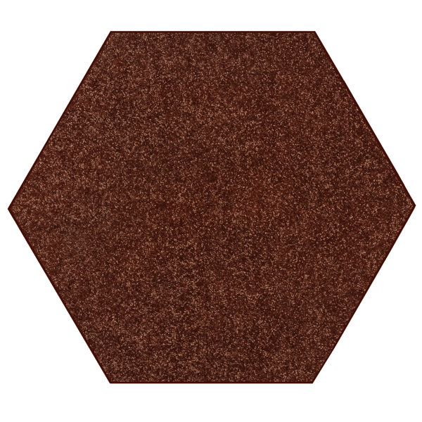 Ebern Designs Aayu Octagon Braided Chocolate Area Rug - Wayfair Canada