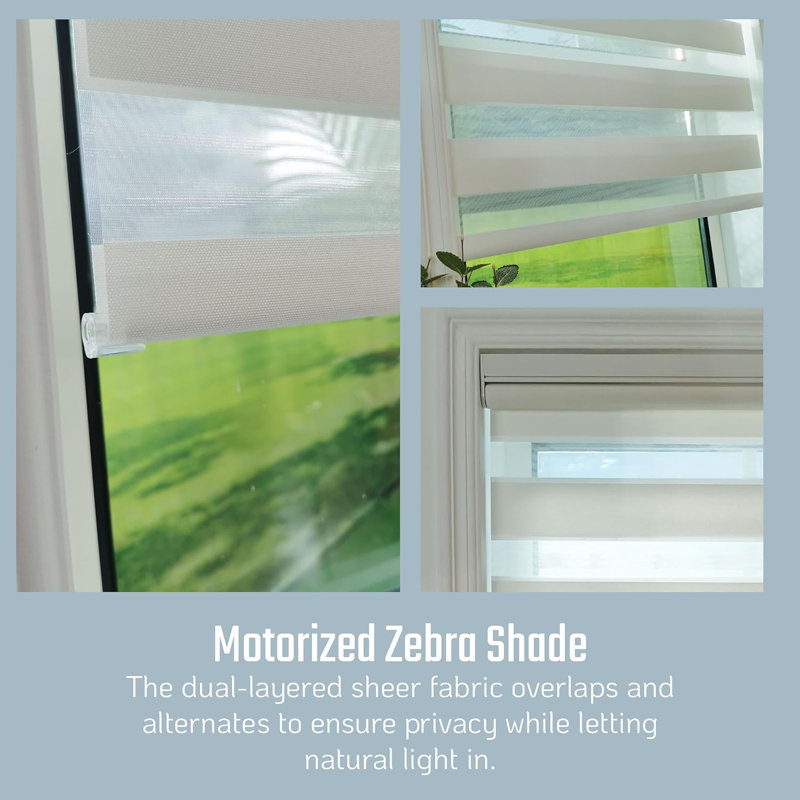 Symple Stuff Motorized Zebra Blinds with Remote Control Window Shades ...