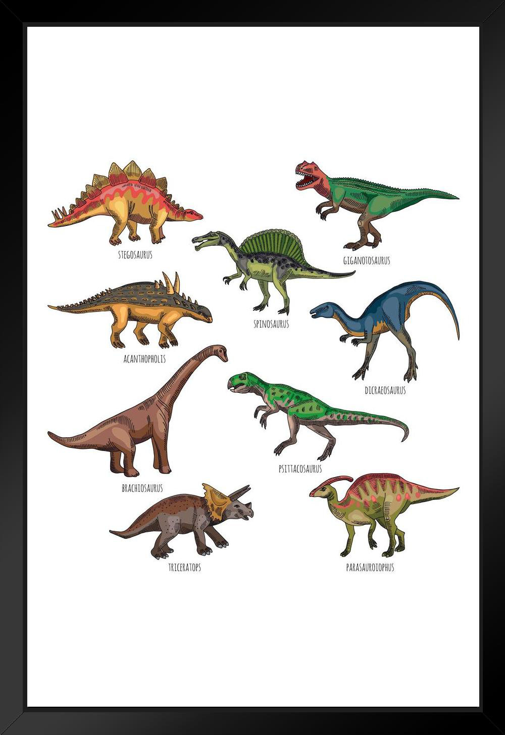 Trinx Different Dinosaurs Types Illustration Dinosaur Poster For Kids ...