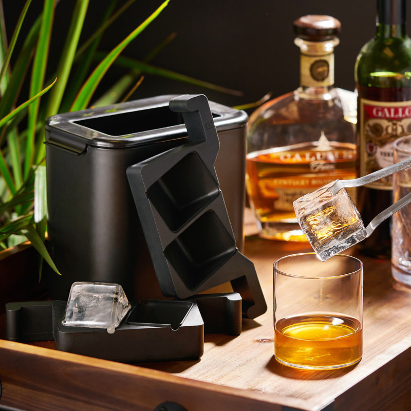 Viski Glacier Rocks Clear Ice Maker & Reviews | Wayfair