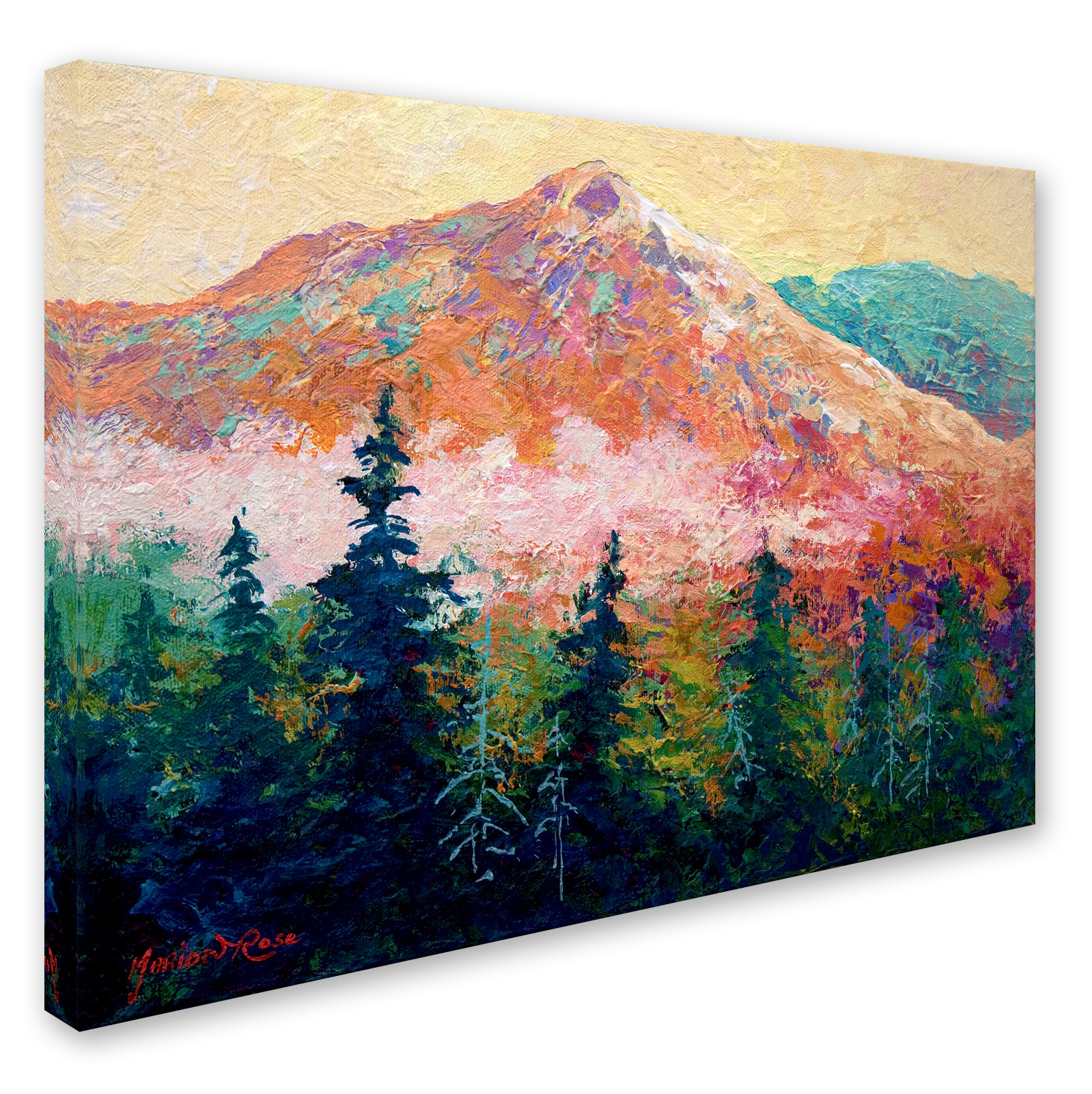 Trademark Fine Art 'Mtn Sentinel' Print on Wrapped Canvas | Wayfair