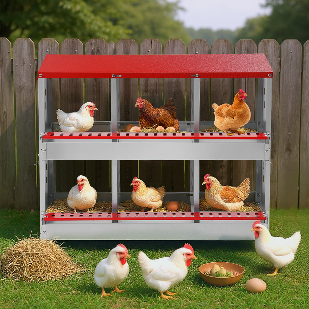 Tucker Murphy Pet™ Chicken Nesting Boxes, 6 Compartments Metal Chicken ...