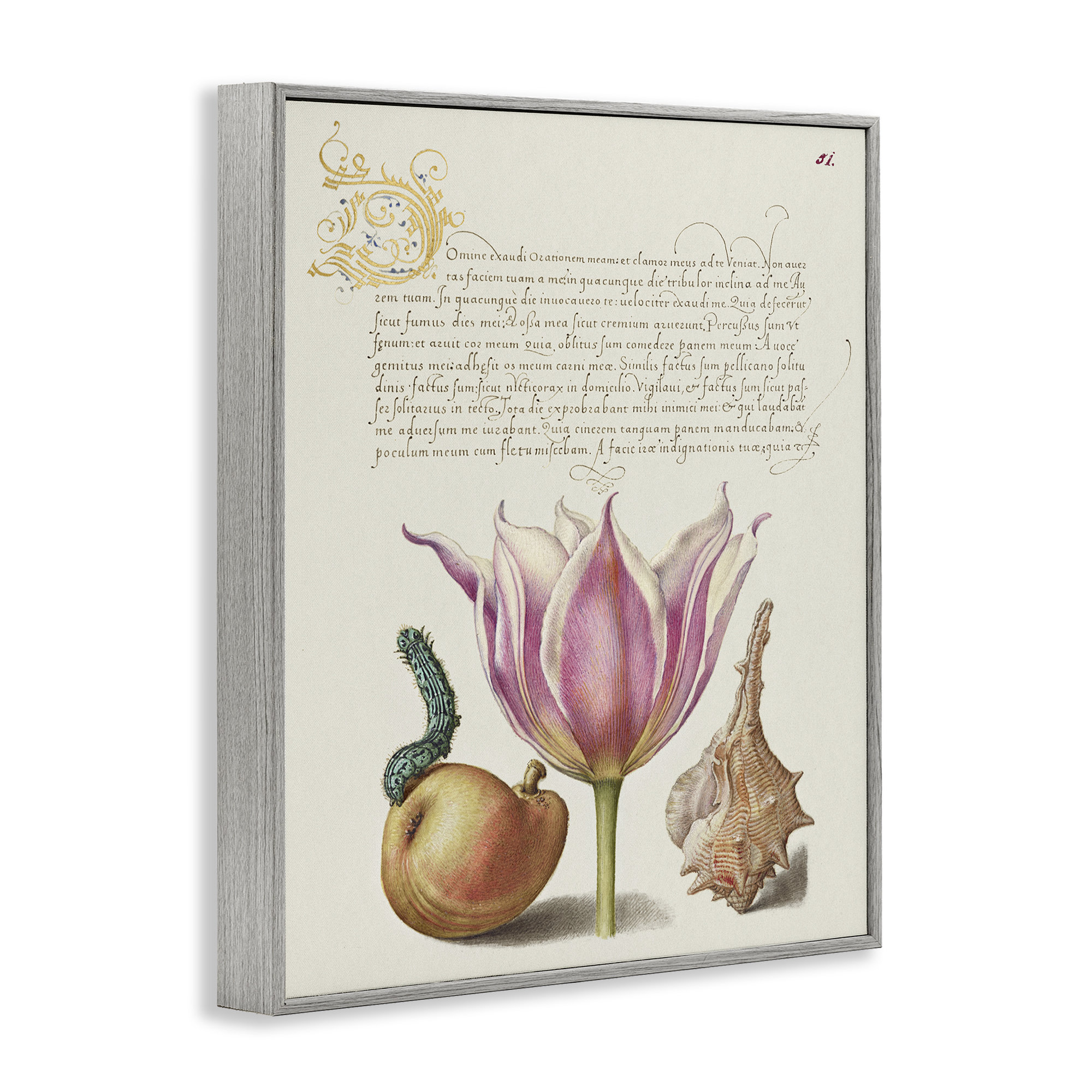 Ebern Designs Flower & Bug Study Page Giclee Art by June Erica Vess ...