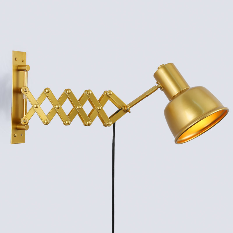 Mercer41 Zykel Plug-in Swing Arm Sconce | Wayfair