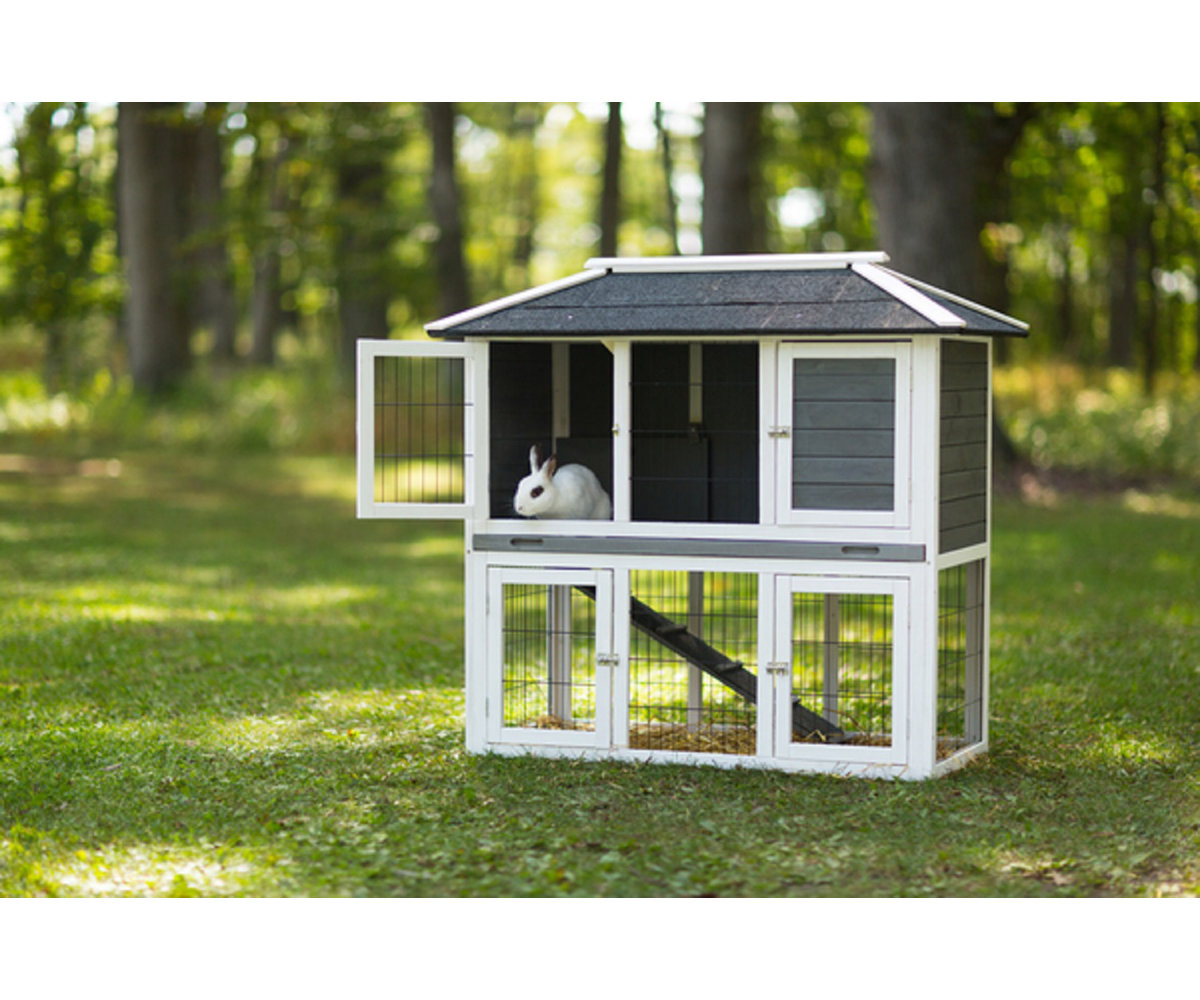 Archie & Oscar™ Nickols Weather Resistant Rabbit Hutch with Ramp ...