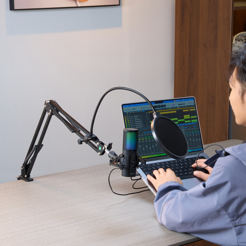 VEVOR Single Screen Desktop Mount | Wayfair