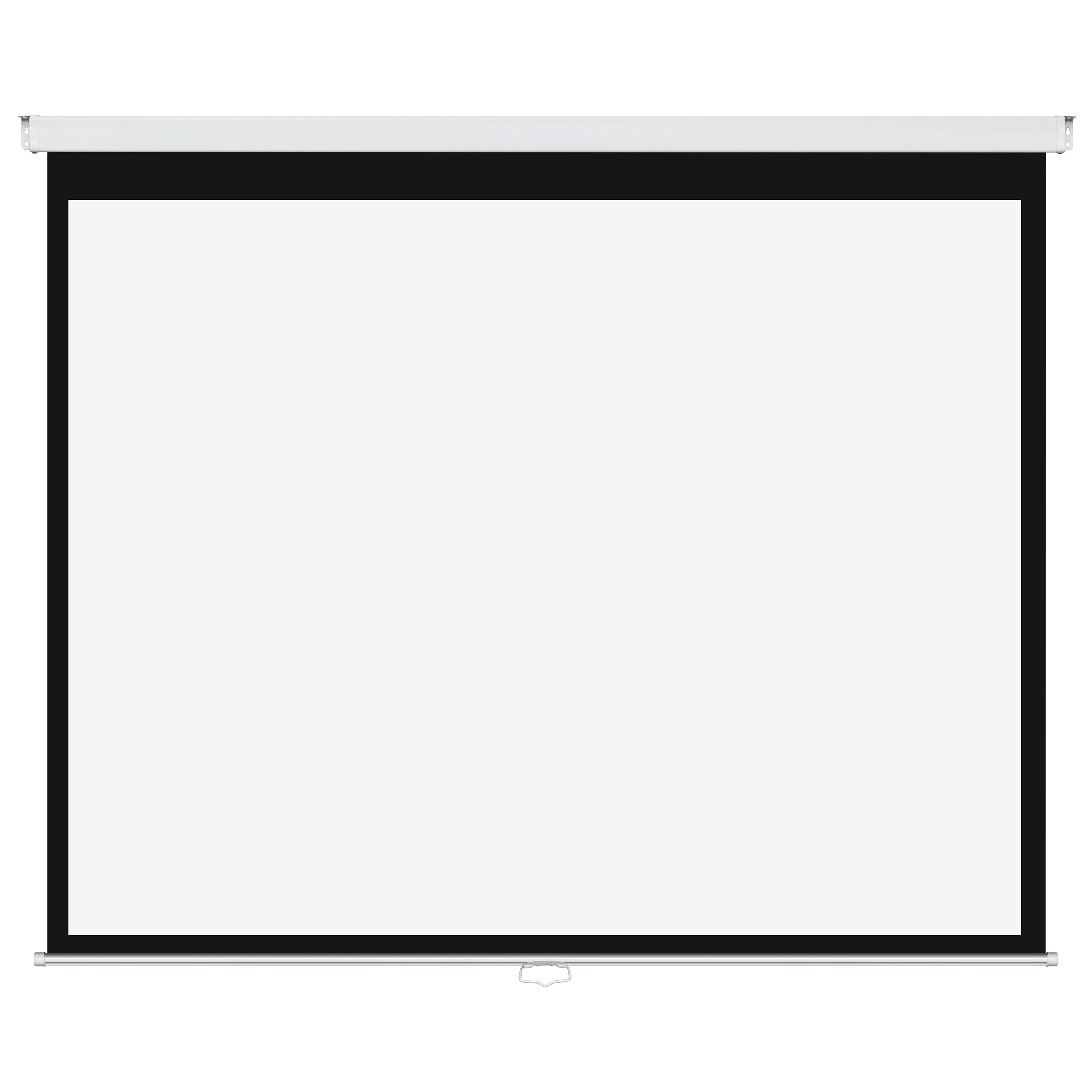 ProHT Manual Projector Screen Projector Screen - Wayfair Canada