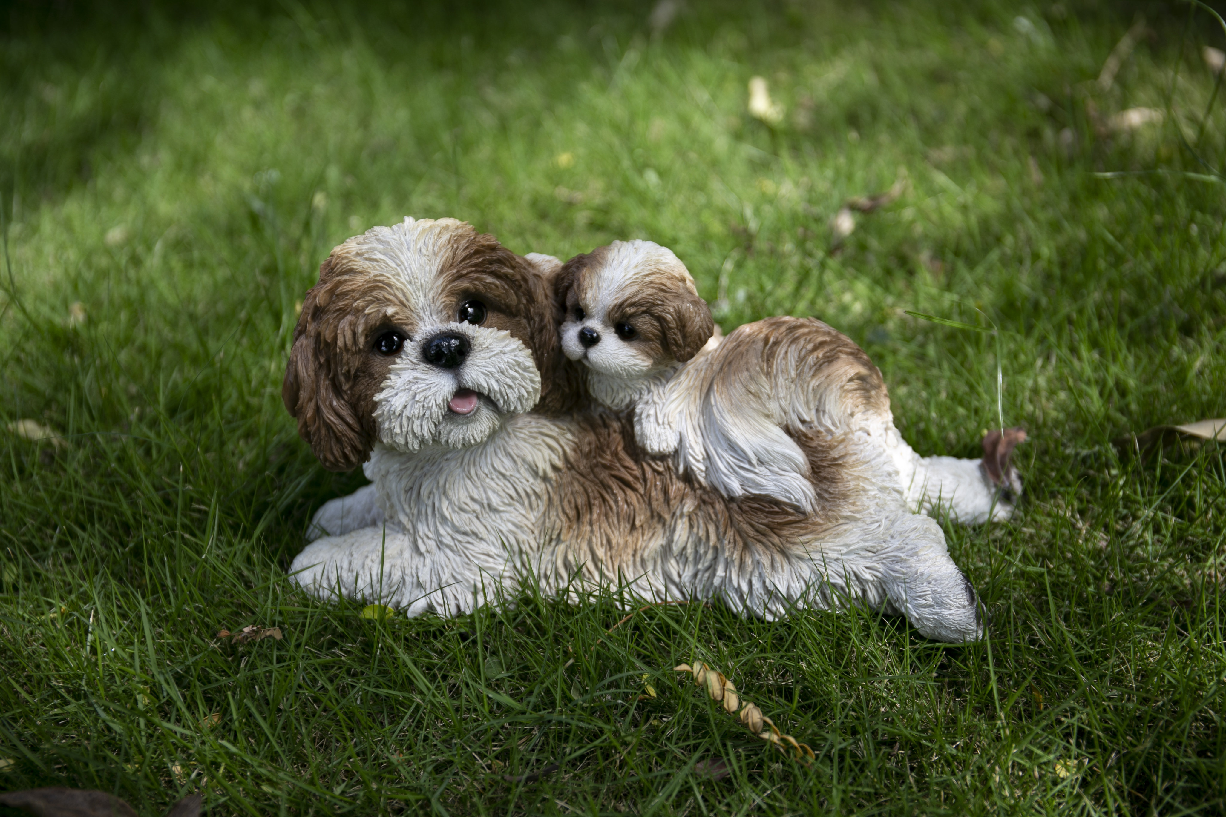 Hi-Line Gift Ltd. Mother and Baby Shih Tzu & Reviews - Wayfair Canada
