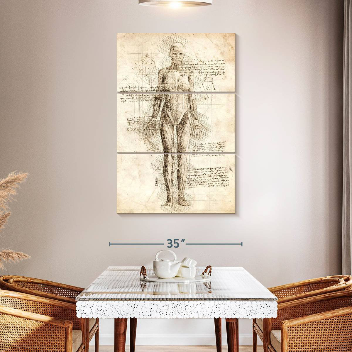 Trent Austin Design® Human Muscles Female Anatomy | Wayfair