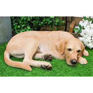 Red Barrel Studio® Large Realistic Sleeping Yellow Labrador Retriever ...