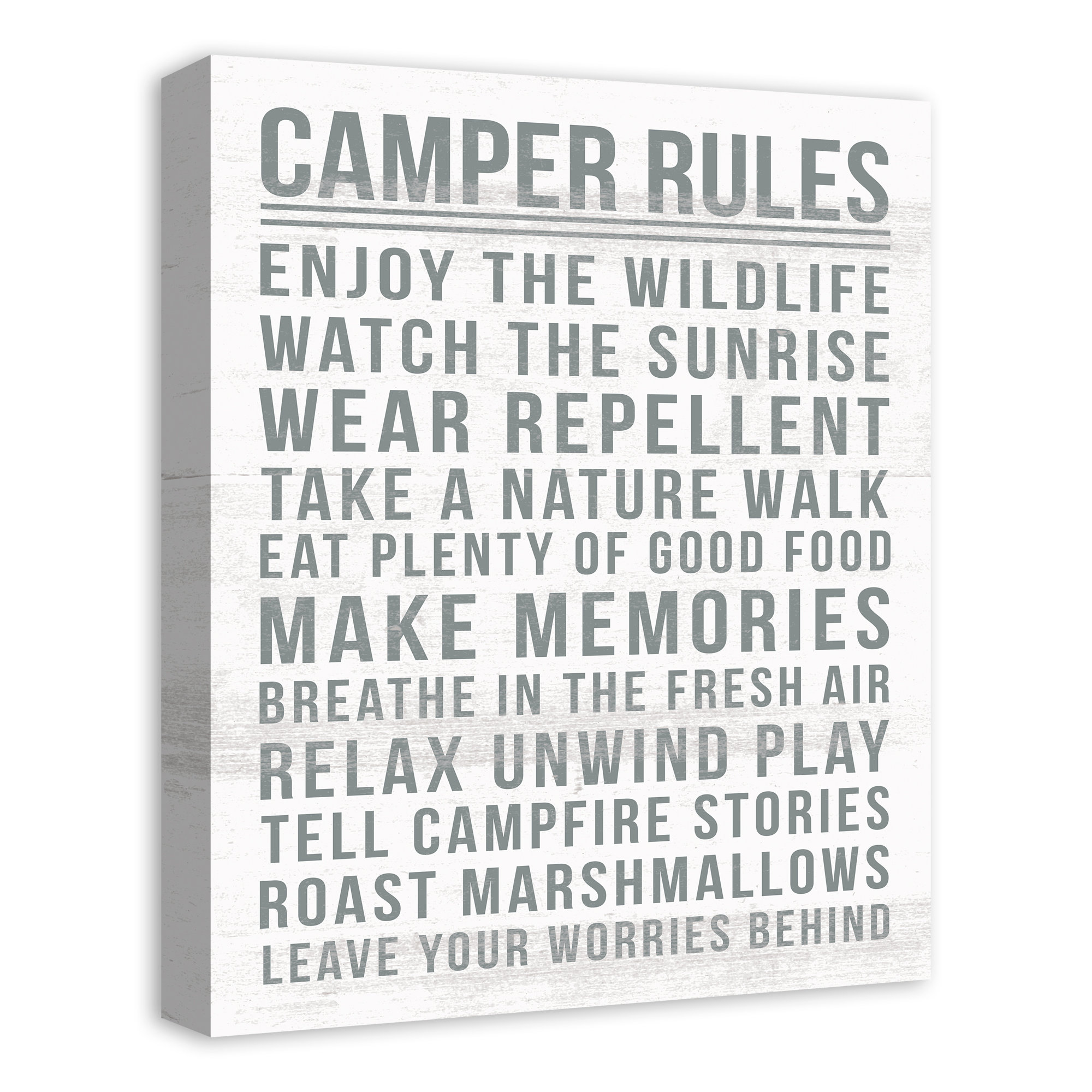 Millwood Pines 'Camper Rules' Textual Art on Canvas | Wayfair