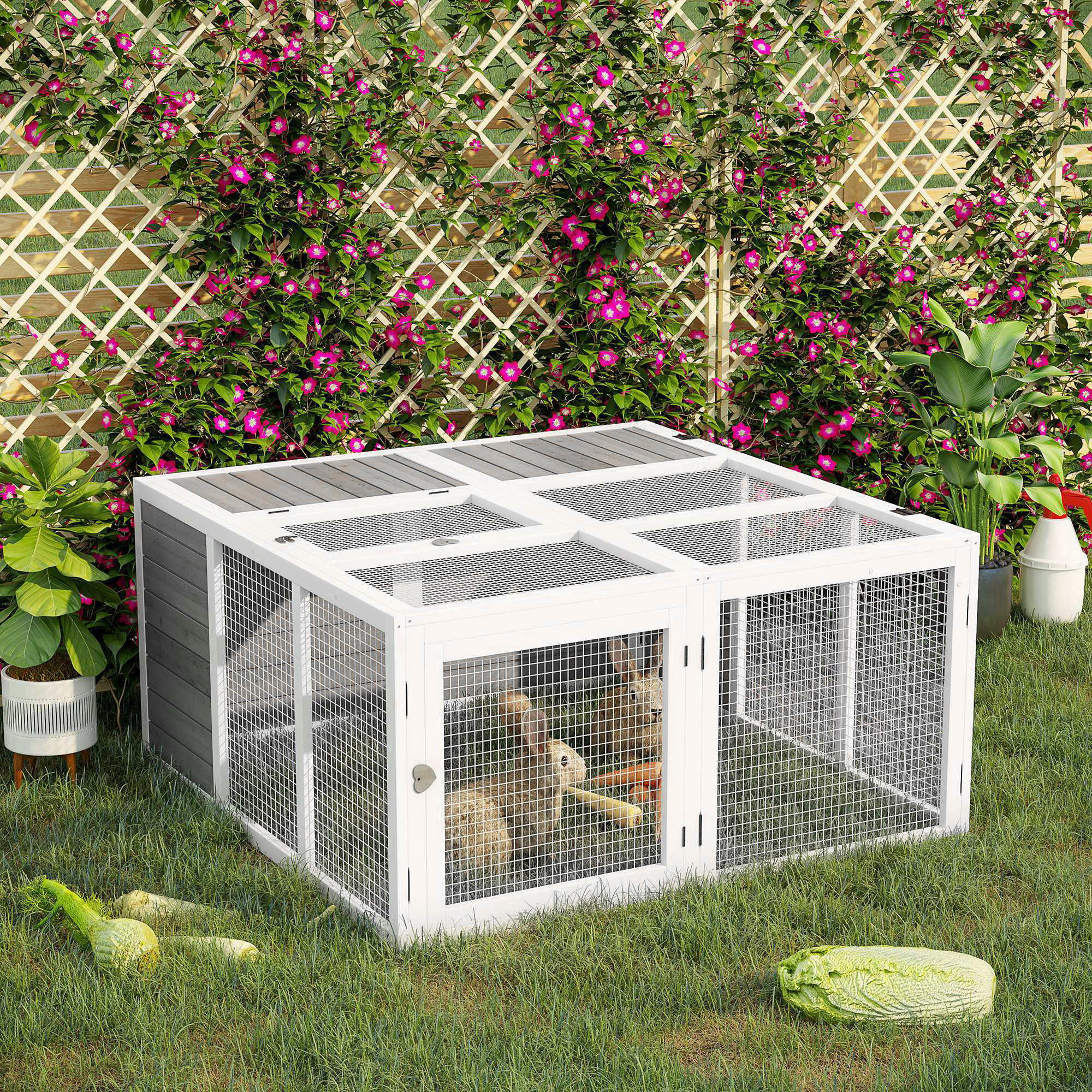 Archie & Oscar™ Spacious And Durable Wooden Rabbit Hutch For Outdoor ...