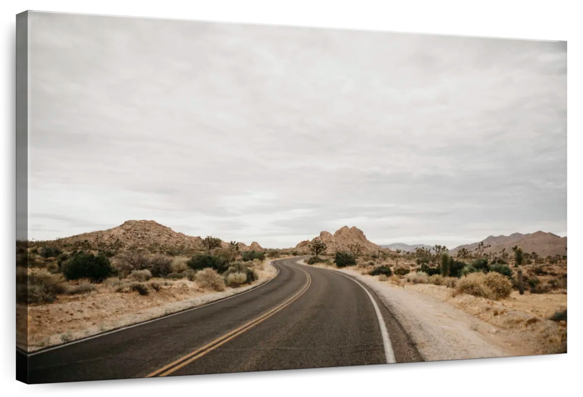 Elephant Stock Road To Joshua Tree Park | Wayfair