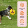 Wham-O Frisbee Fastback Flying Disc, 9.35 Inch Dog-friendly Lightweight ...