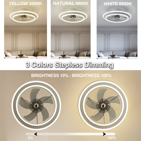Wrought Studio™ 20'' Ceiling Fan With Lights Remote Control 48W Led ...