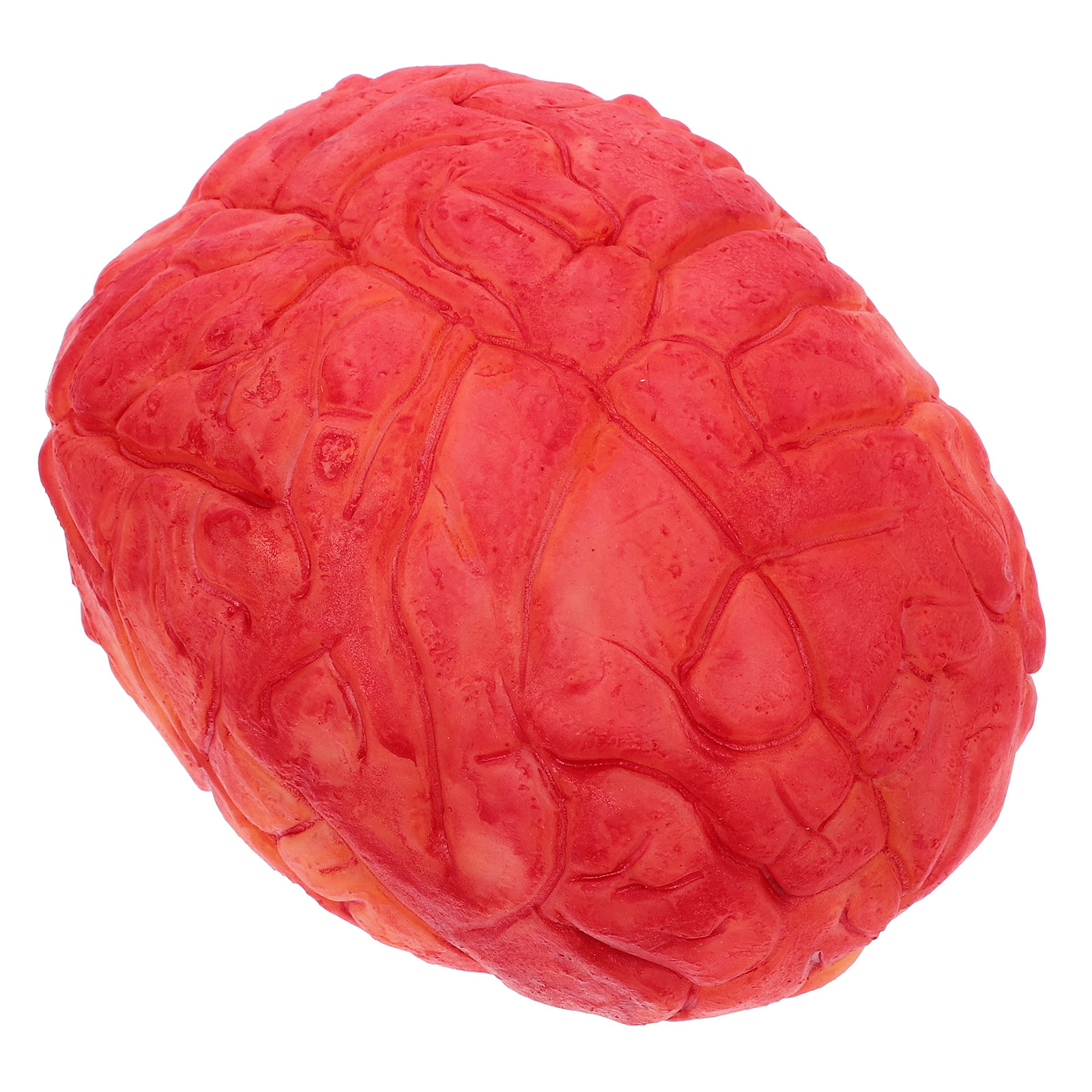 Homemaxs Halloween Prop Bloody Scary Fake Organ Human Brain Body Parts ...