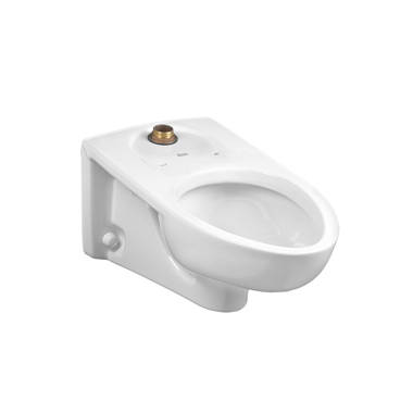 American Standard Afwall Dual Flush Elongated One-Piece Toilet (Seat ...