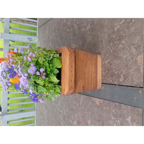 Millwood Pines Darinka Wood Planter Box | Wayfair