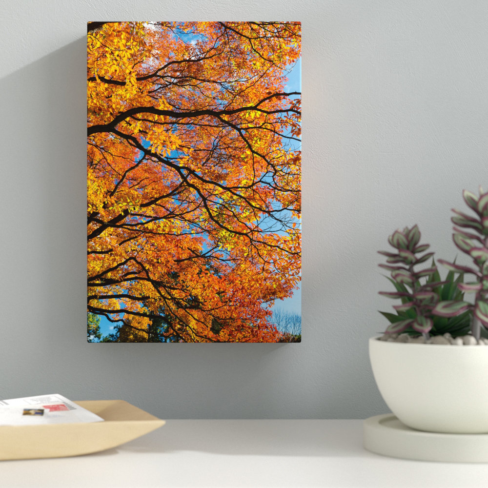 Latitude Run® Orange Fall Tree - Photograph Print on Canvas - Wayfair ...