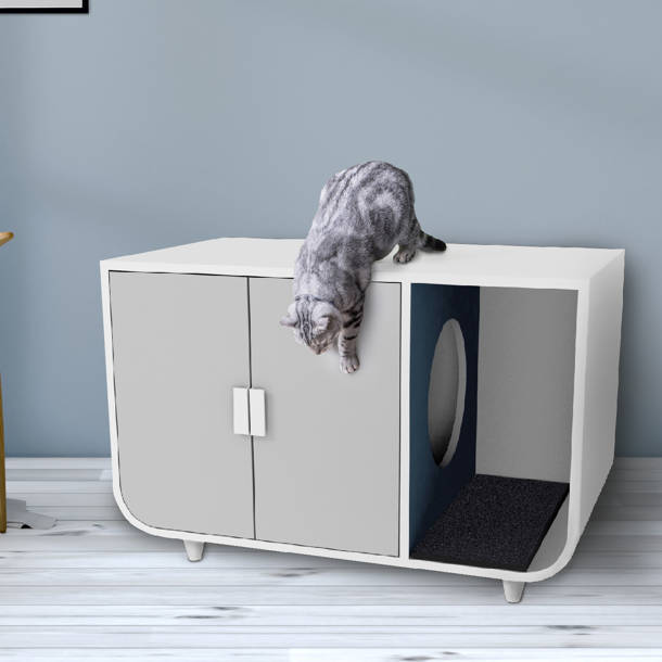 Tucker Murphy Pet™ 61" Telly Cat Condo & Reviews | Wayfair