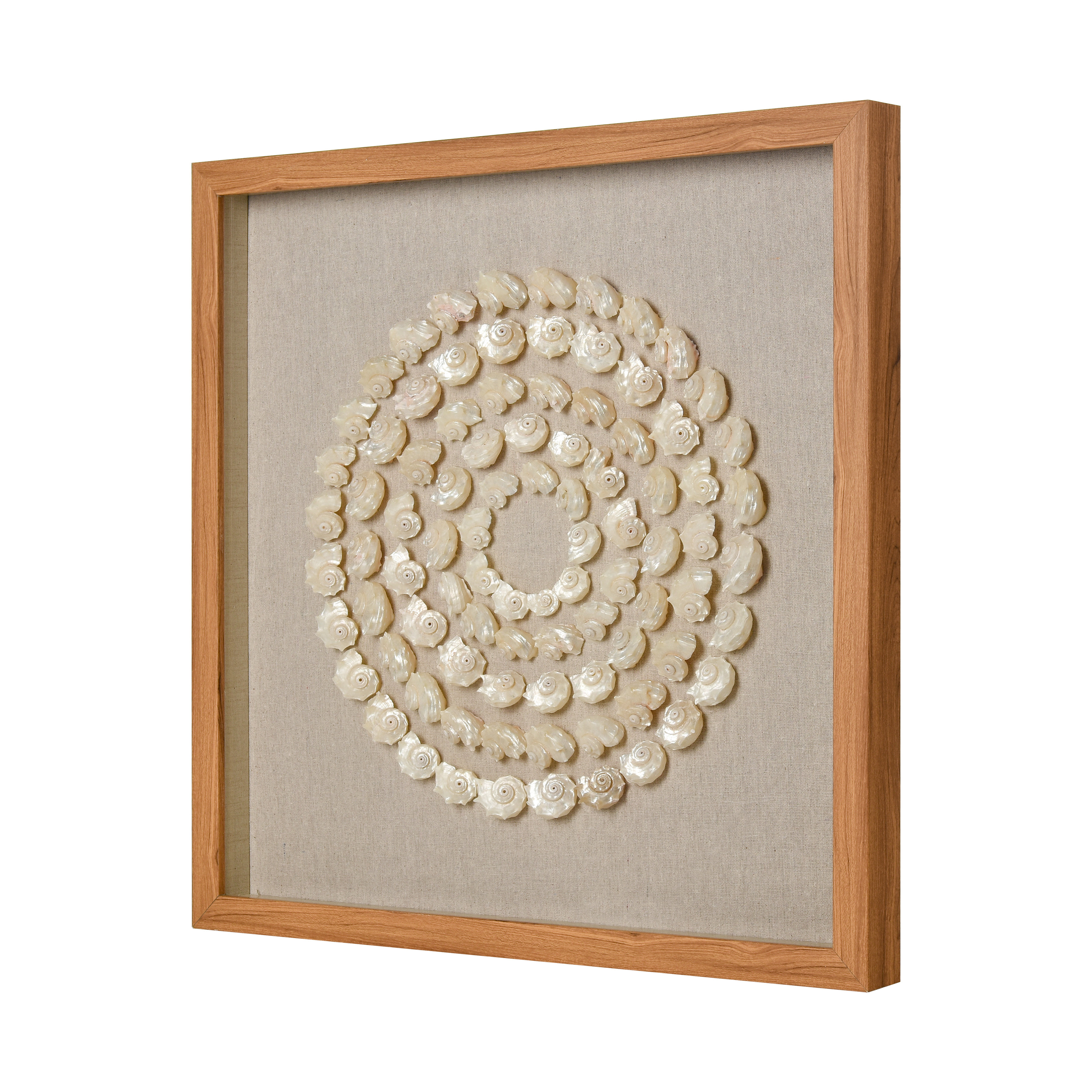 Dovecove Concentric Shell Dimensional Wall Art | Wayfair