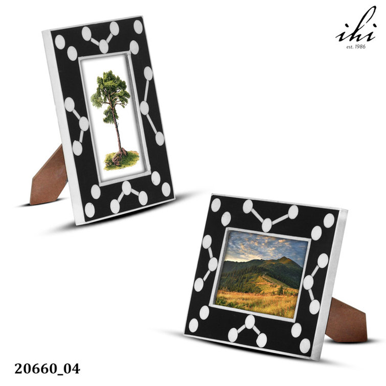 India Handicrafts, Inc. Bone Picture Frame - Wayfair Canada