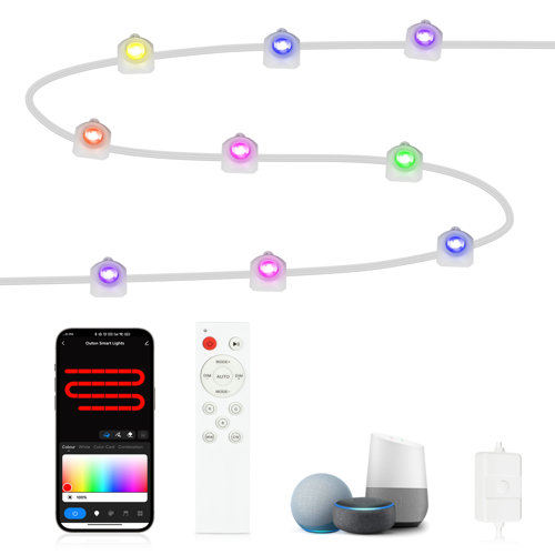 Novelty String Lights You'll Love | Wayfair