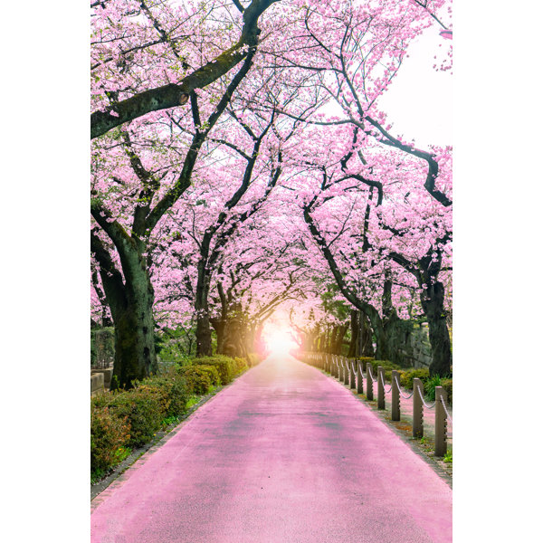 Ebern Designs " Beautiful Sakura Tree " on Canvas | Wayfair