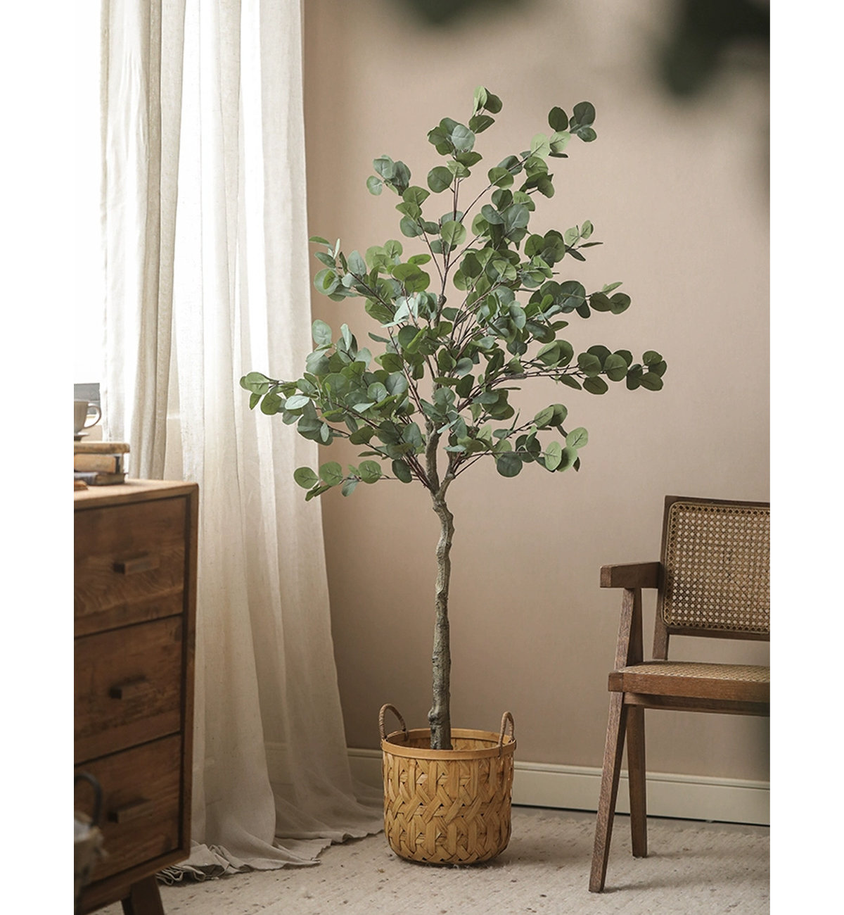 Stella Trek Simulation Eucalyptus Tree Simulation Tree Green Plant ...