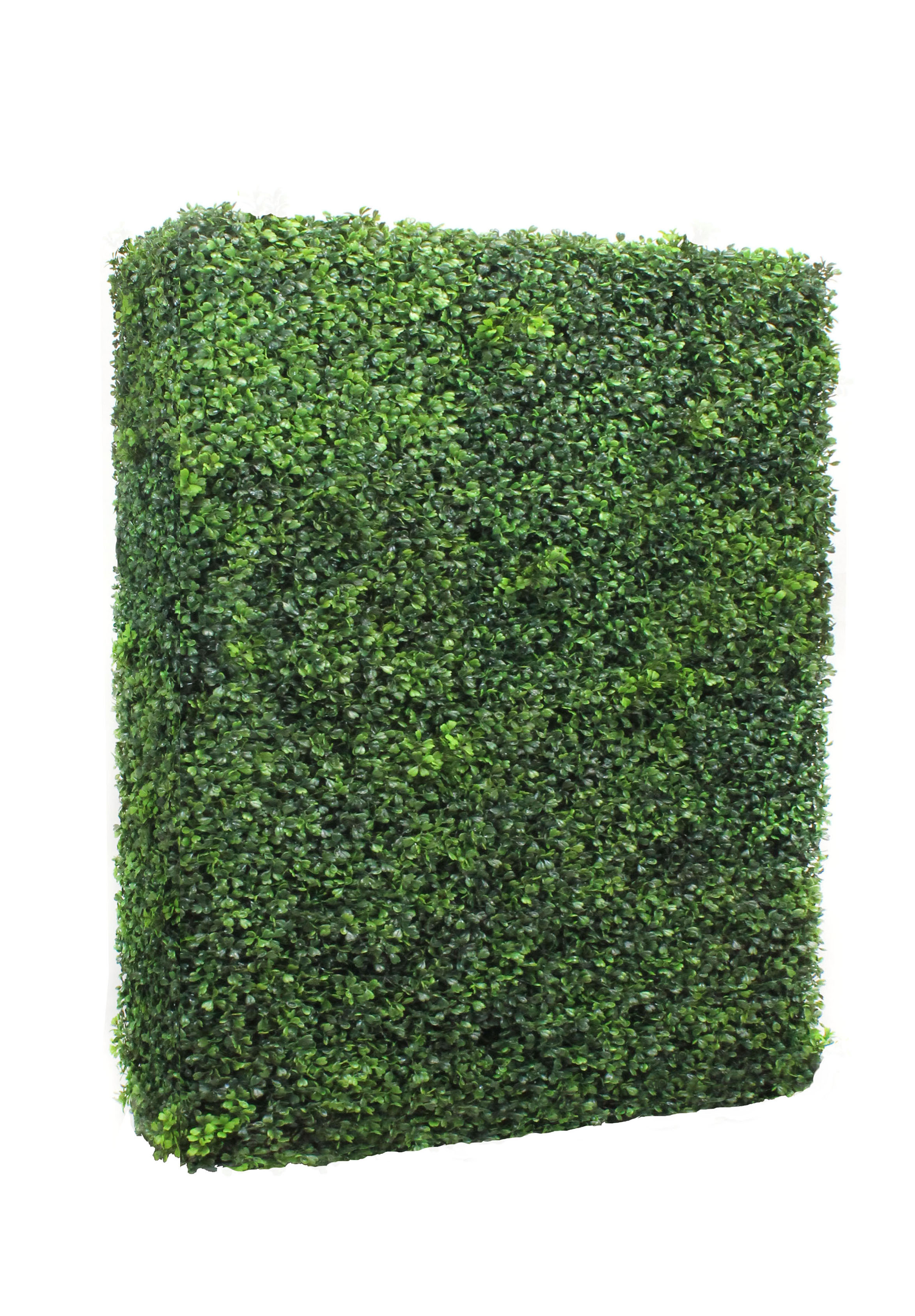 Dalmarko Designs Freestanding Boxwood Hedge | Perigold