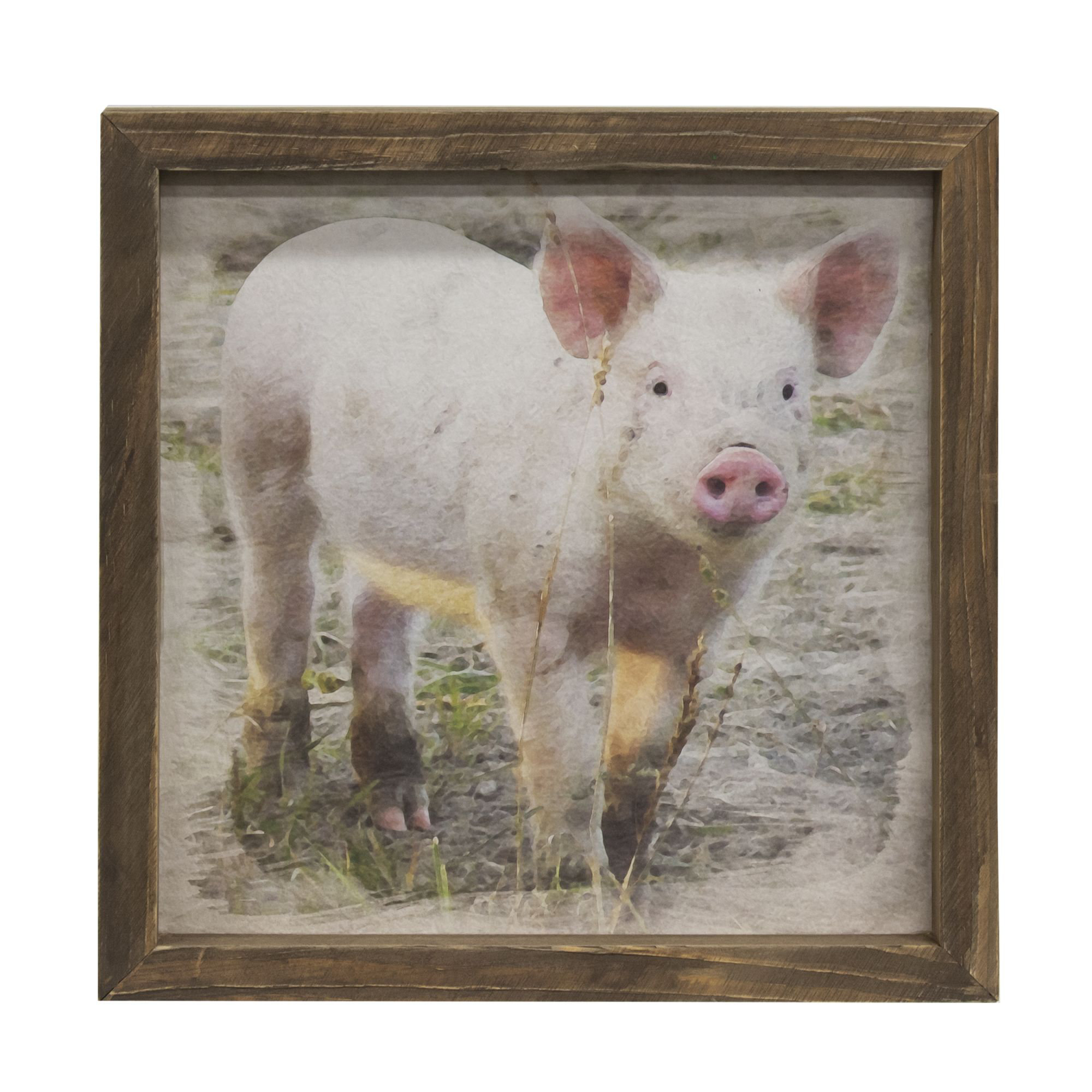 Gracie Oaks Pasture Pig Framed Print Wood Frame - Wayfair Canada
