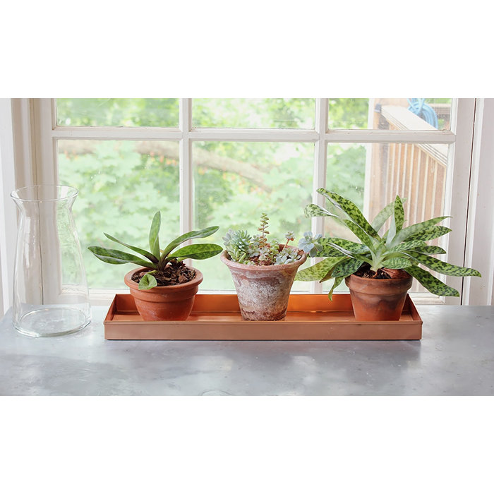 Wrought Studio Danika Rectangular Saucer & Reviews | Wayfair