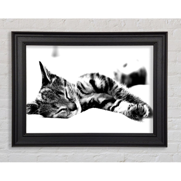 Ebern Designs Single Picture Frame Art Prints | Wayfair.co.uk