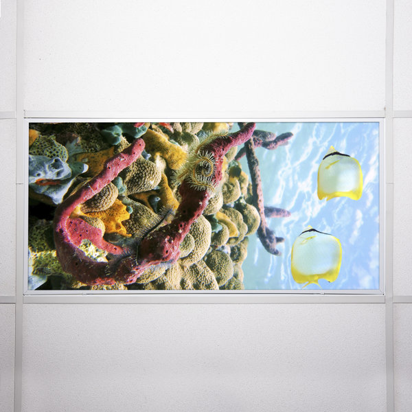 Octo Lights Ocean Classroom Fluorescent Light Covers for Ceiling Lights ...