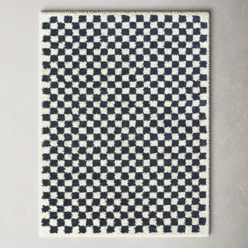 AllModern Walker Checkered Rug & Reviews | Wayfair