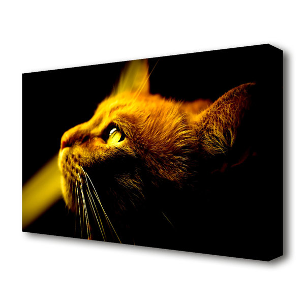East Urban Home Red Cat Profile Wildlife - Wrapped Canvas Art Prints ...