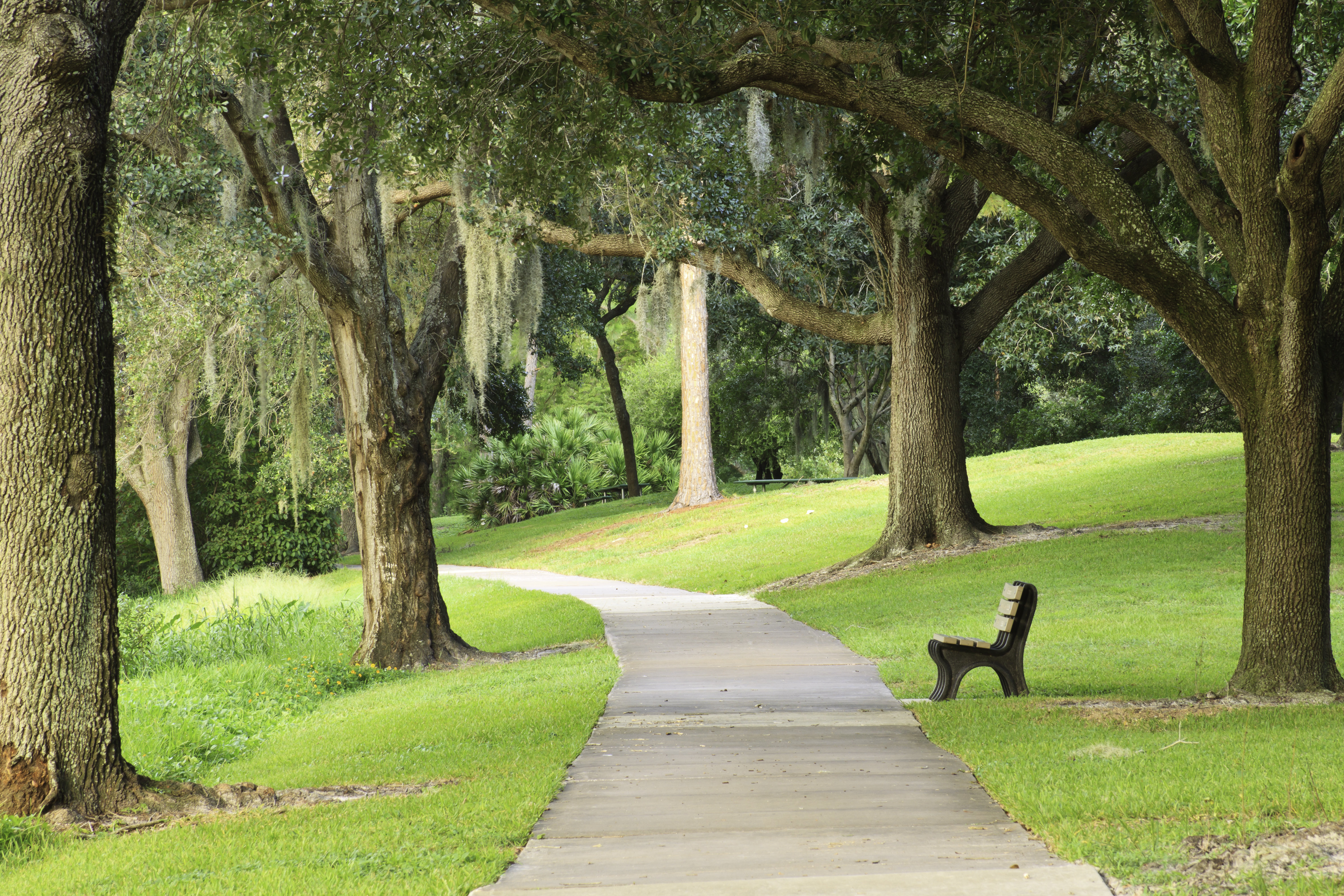 Ebern Designs Peaceful Park Bench by Joerosh | Wayfair