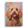 Marlow Home Co. Cockapoo Bubble Gum - No Frame Art Prints | Wayfair.co.uk