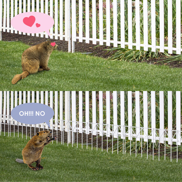 EFPerfect 15'' H x 24'' W Animal Anti-digging Barrier Fence Rustproof ...