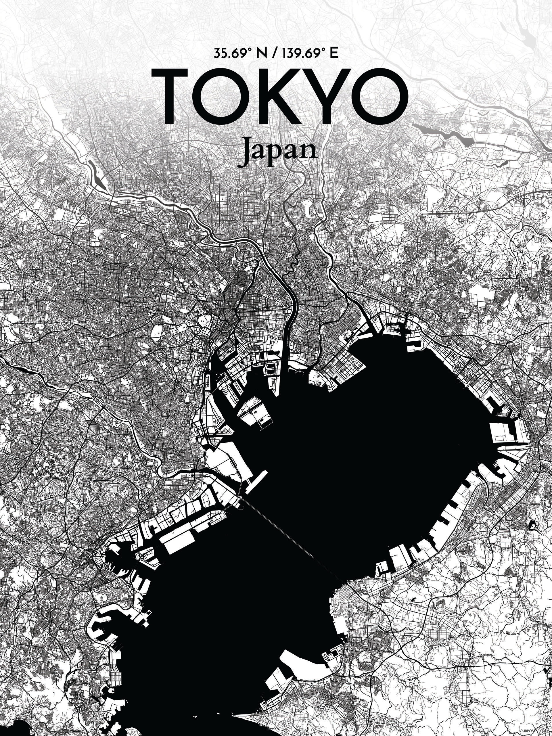 OurPoster.com 'Tokyo City Map' Graphic Art Print Poster in Black | Wayfair